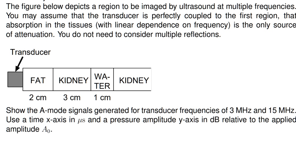 The figure below depicts a region to be imaged by ultrasound at ...
