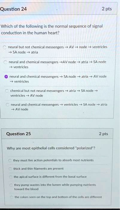 SOLVED: Question 24 Which of the following is the normal sequence of signal conduction in the ...