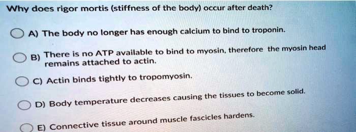 SOLVED: Why does rigor mortis (stiffness of the body) occur aftcr death ...