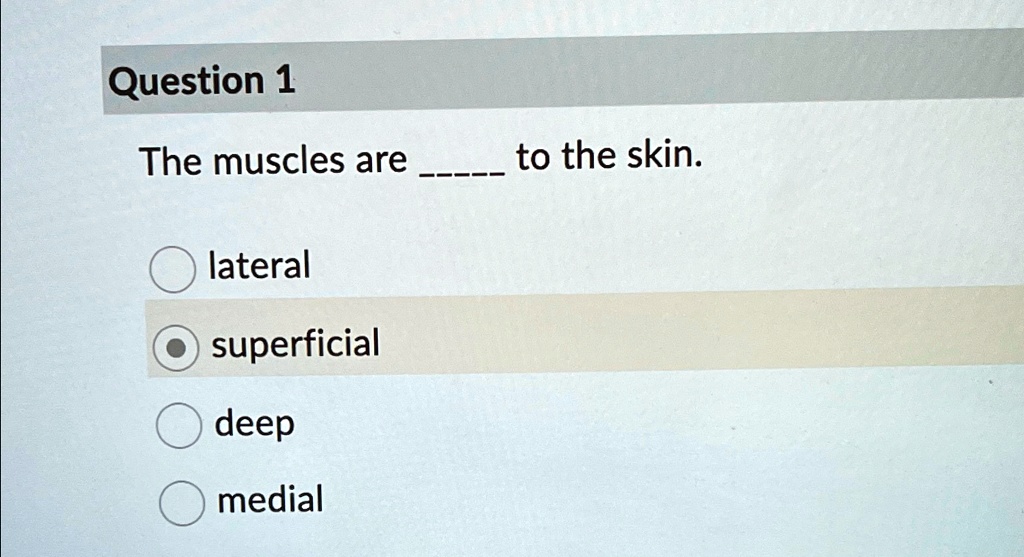 Question 1 The muscles are q, to the skin. lateral superficial deep ...