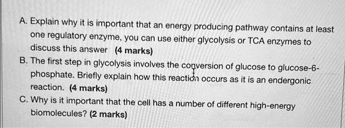 SOLVED: A. Explain why it is important that an energy-producing pathway ...