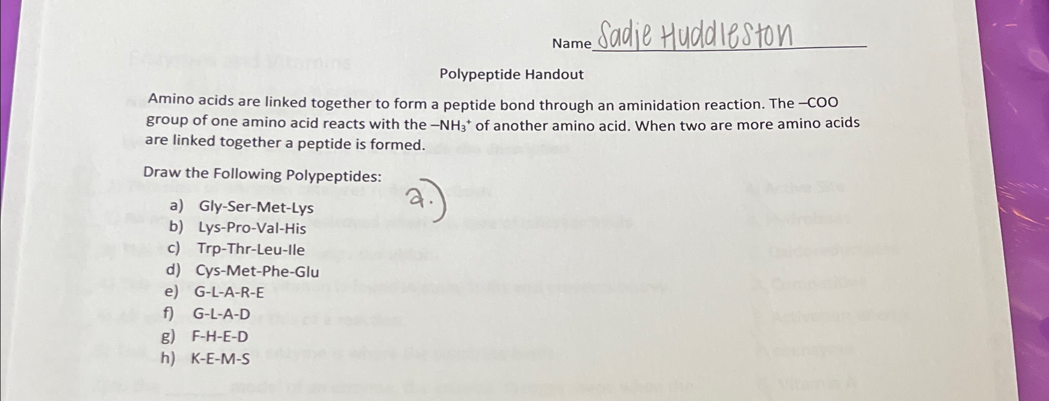 Name Sadje Hudd Ieston Polypeptide Handout Amino acids are linked together to form a peptide ...