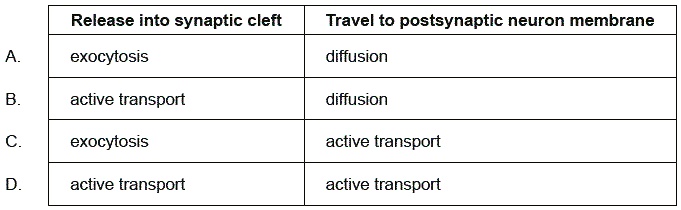 SOLVED: Release into synaptic cleft Travel to postsynaptic neuron ...