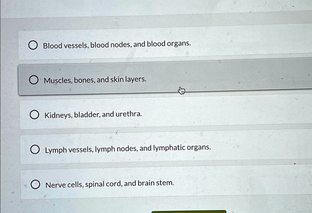Blood vessels, blood nodes, and blood organs. Muscles, bones, and skin ...