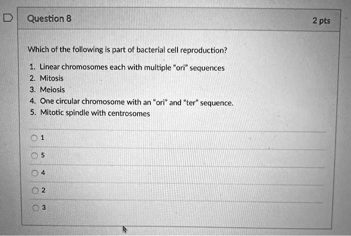 SOLVED: Question 8 2 pts Which of the following is part of bacterial ... SOLVED: Question 8 2 pts Which of the following is part of bacterial ...