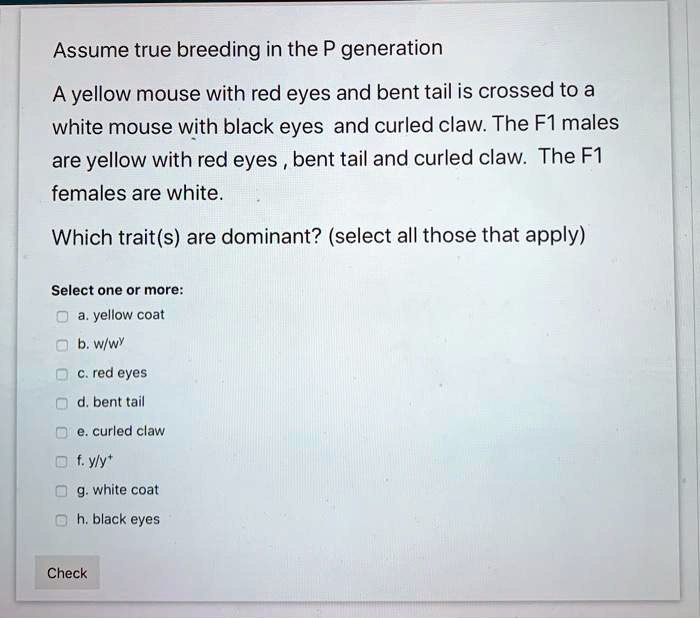 SOLVED:Assume true breeding in the P generation A yellow mouse with red ...