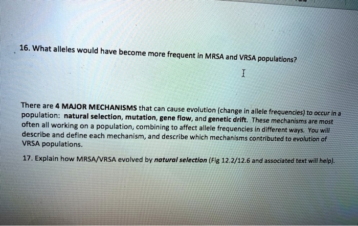 SOLVED: 16. What alleles would have become more frequent In MRSA and VRSA populations? There are ...