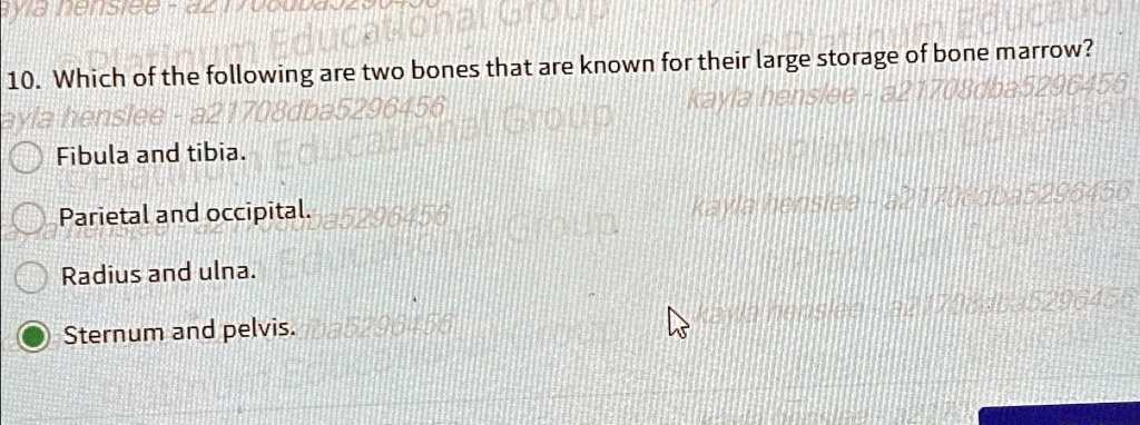 SOLVED: Which of the following are two bones that are known for their large storage of bone ...