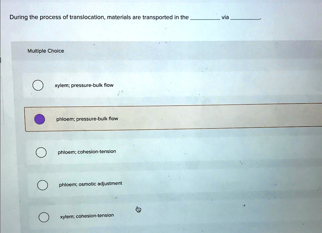 during the process of translocation materials are transported in the ...