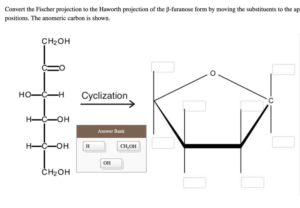 Convert the Fischer projection to the Haworth projection of the ...