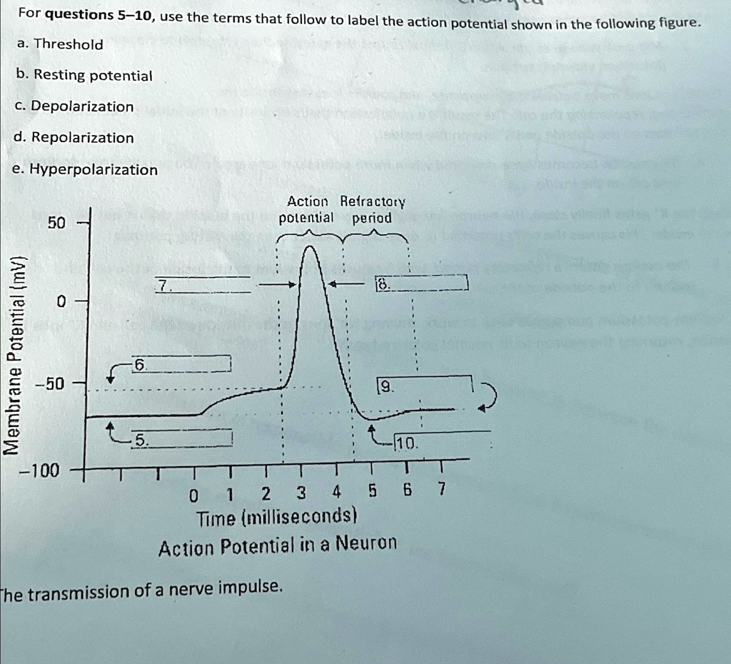 For questions 5-10, use the terms that follow to label the action ...