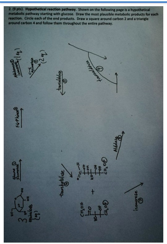 SOLVED: 2. (9 pts): Hvpothetical reaction pathway: Shown on the ...