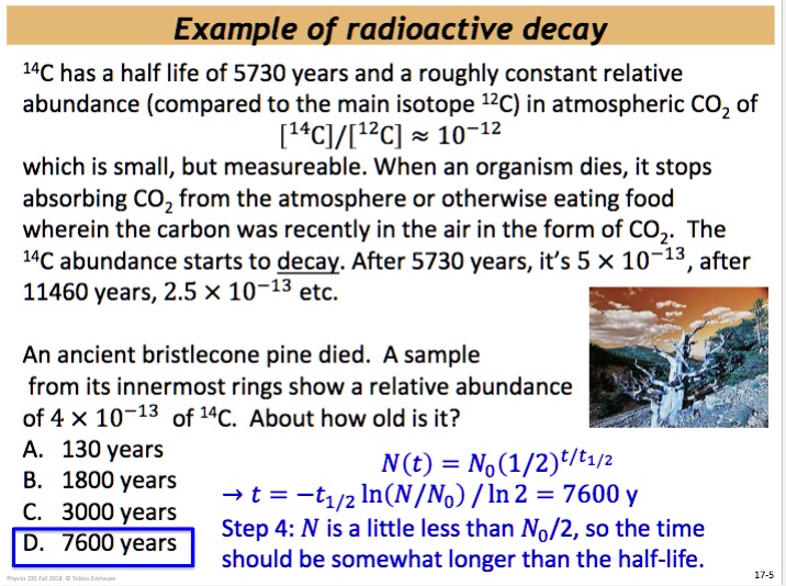 Example of radioactive decay 14C has a half life of 5730 years and a ...
