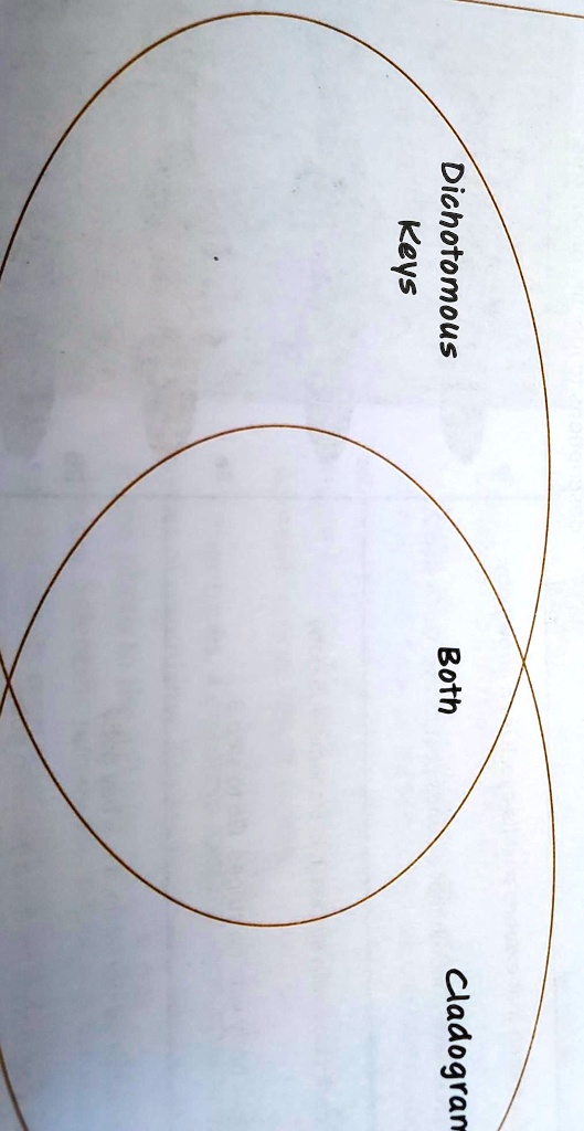 SOLVED: 'Show the similarities and differences between dichotomous keys and coadograms(URGENT ...