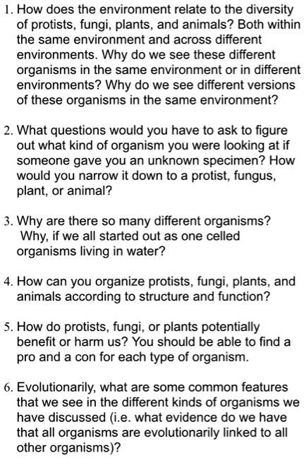 SOLVED: How does the environment relate to the diversity of protists ...