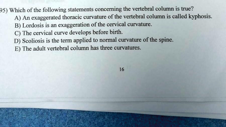SOLVED: 95) Which of the following statements concerning the vertebral ...