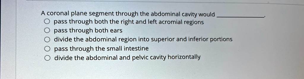 A coronal plane segment through the abdominal cavity would pass through ...