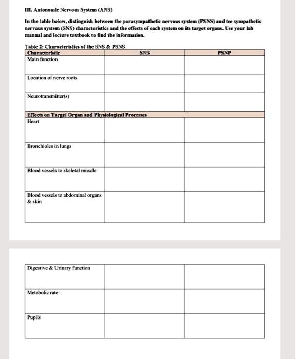 III. Autonomic Nervous System (ANS) In the table below, distinguish ...