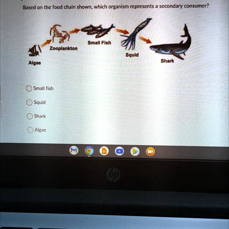 SOLVED: 'Which organisms represents a secondary consumer? Based on the ...