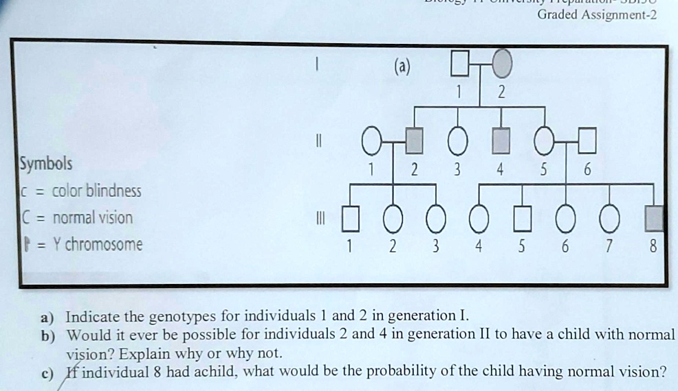 Symbols c = color blindness C = normal vision = Y chromosome Graded ...
