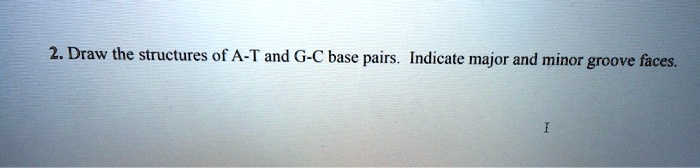 2 draw the structures of a t and g c base pairs indicate major and minor groove faces 51852