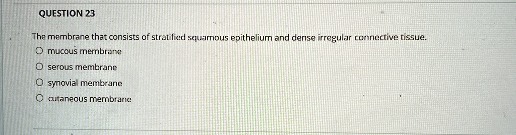QUESTION 23 The membrane that consists of stratified squamous ...