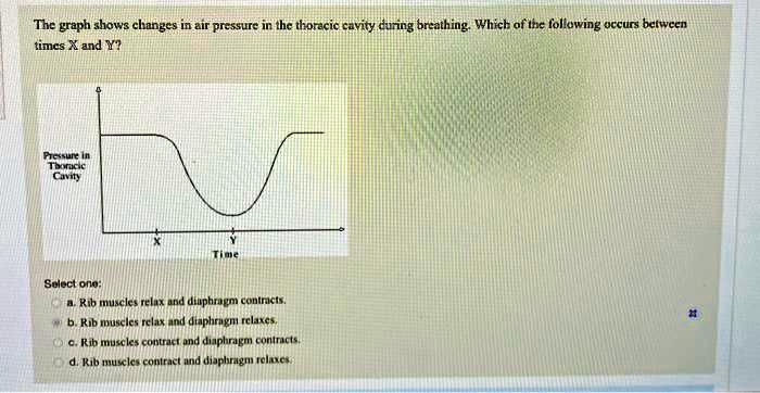 SOLVED: The graph shows changes in air pressure in the thoracic cavity ... SOLVED: The graph shows changes in air pressure in the thoracic cavity ...