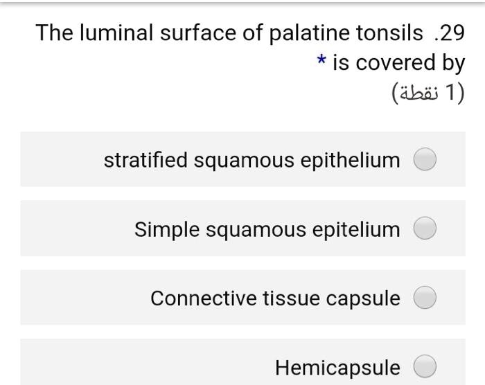 SOLVED: The luminal surface of palatine tonsils 29 is covered by (abai ...