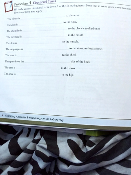 procedure 1 directional terms directional term may apply the elbow is ...