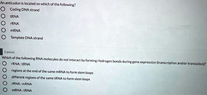 SOLVED: Anticodon is located on which of the following? Coding DNA ...