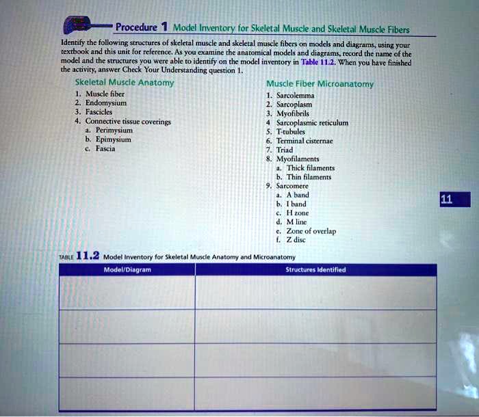 SOLVED: Procedure Model Inventory for Skeletal Muscle and Skeletal ...