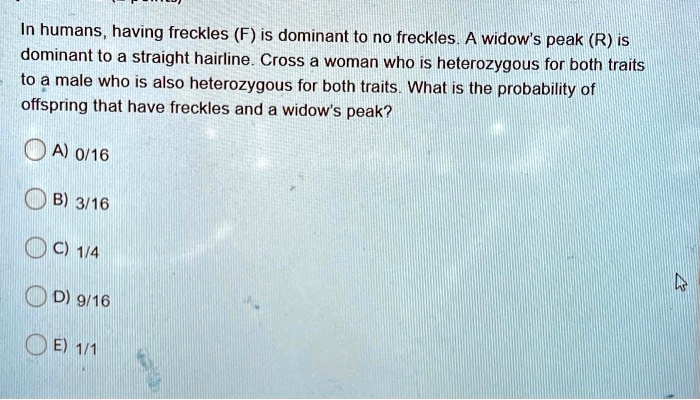 SOLVED: In humans, having freckles (F) is dominant to no freckles. A widow's peak (R) is ...