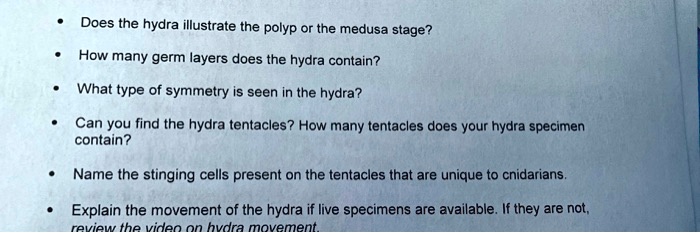 does the hydra illustrate the polyp or the medusa stage how many germ ...