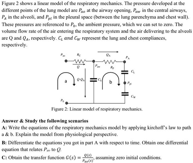 VIDEO solution: Figure 2 shows a linear model of the respiratory ...