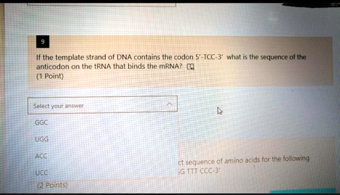 SOLVED: If the template strand of DNA contains the codon 5'-TCC-3' what ...