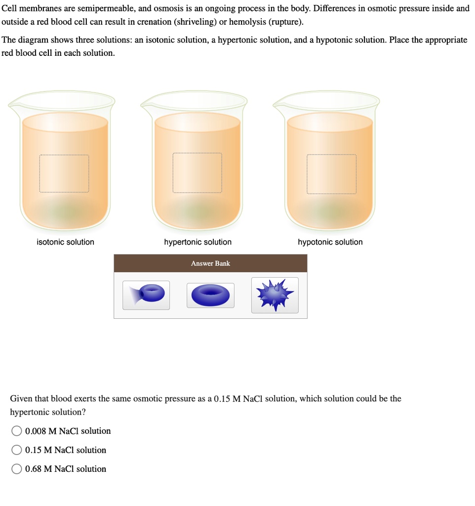 SOLVED: Cell membranes are semipermeable, and osmosis is an ongoing ...