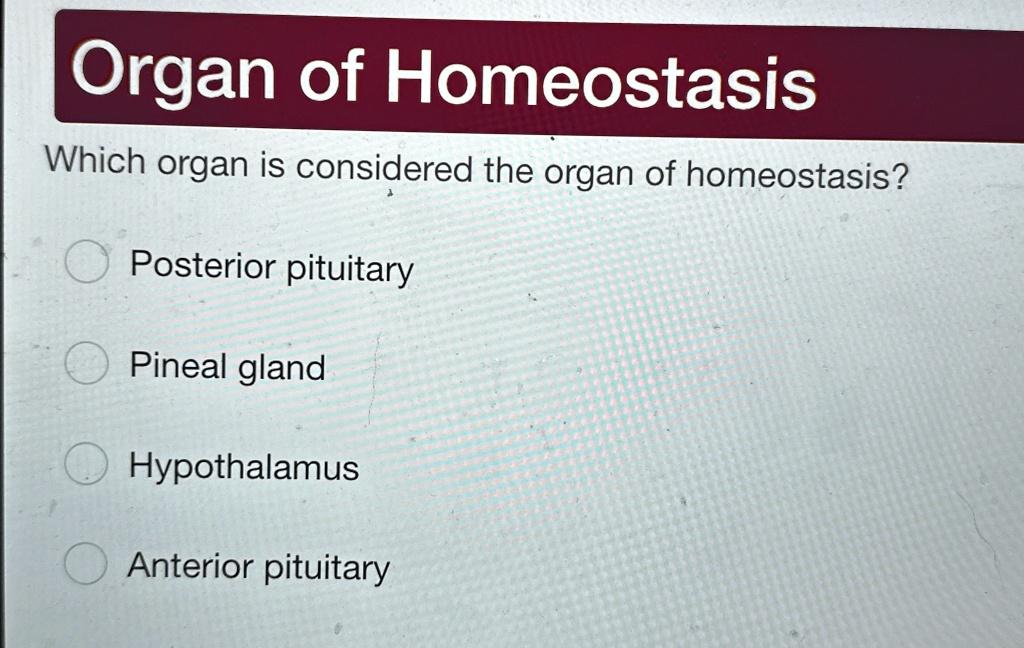 Organ of Homeostasis Which organ is considered the organ of homeostasis ...