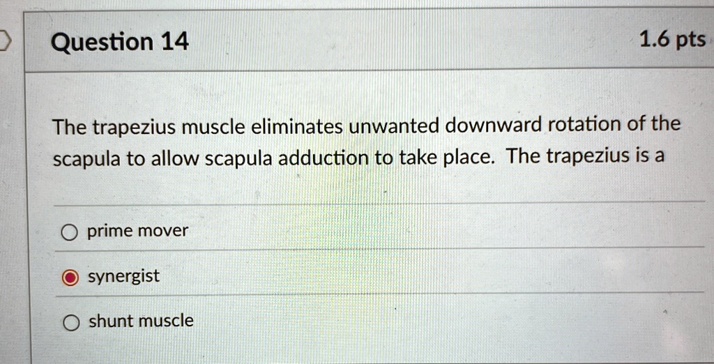 Question 14 1.6 pts The trapezius muscle eliminates unwanted downward ...