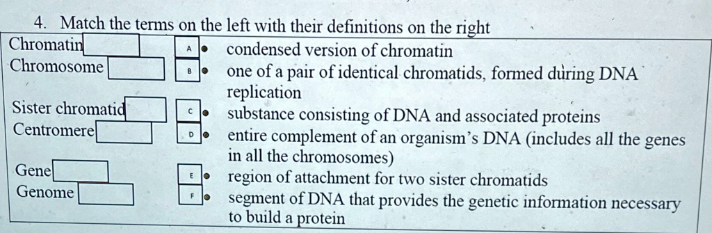 4. Match the terms on the left with their definitions on the right ...