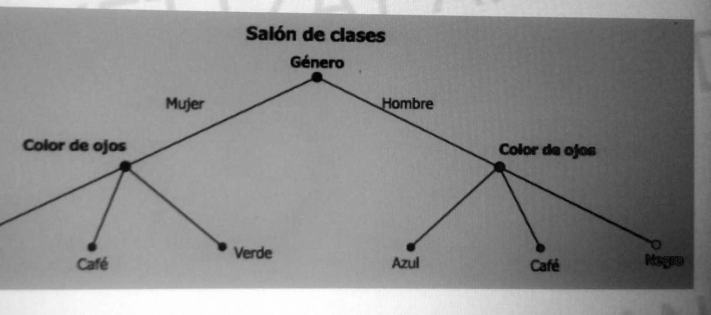 SOLVED: en el diagrama se muestra el posible color de ojos de hombres y ...