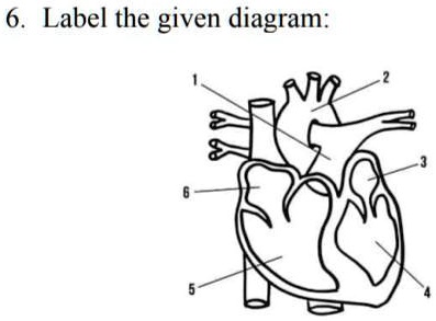 Label the diagram, please help me. 6. Label the given diagram:
