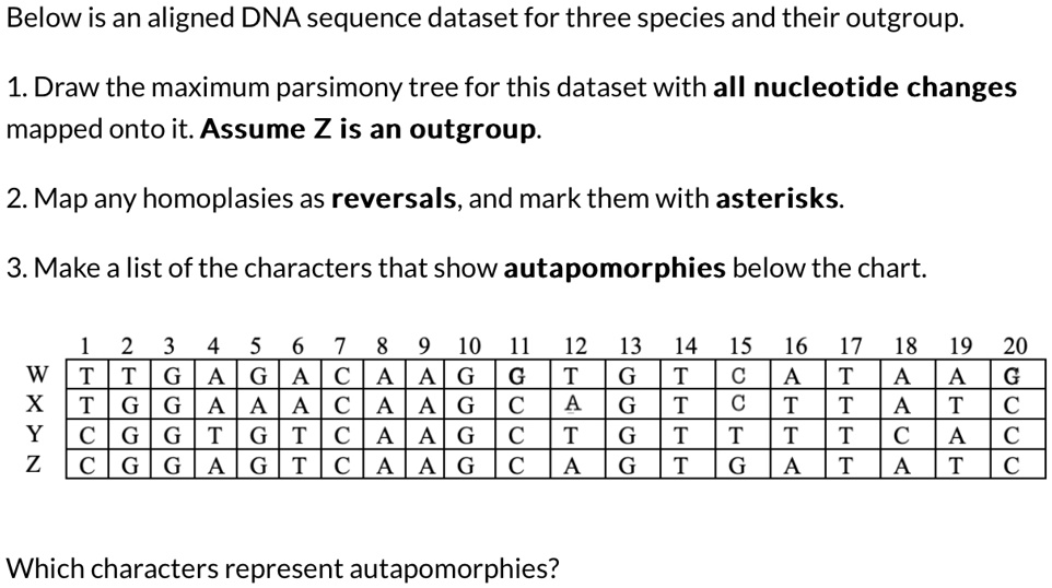 Below is an aligned DNA sequence dataset for three species and their ...