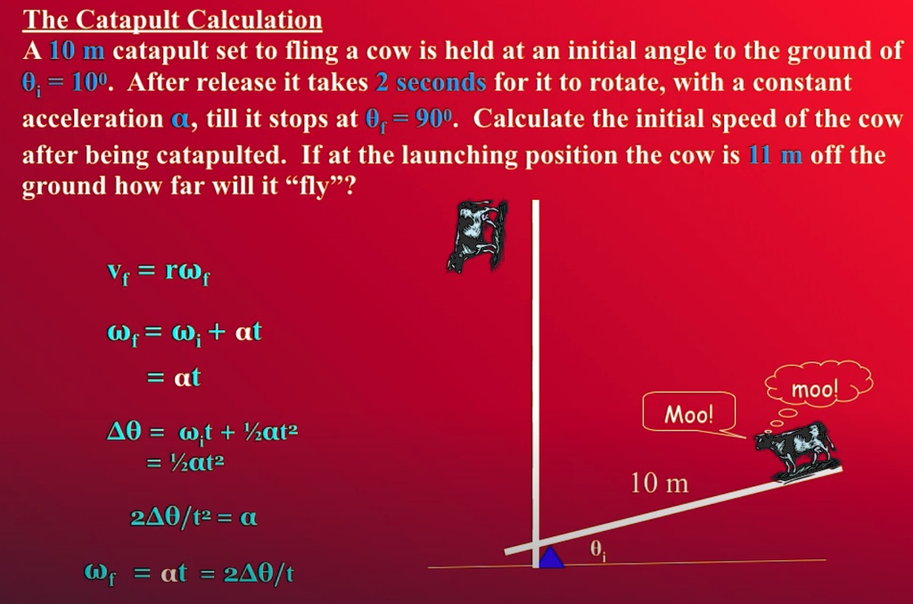 SOLVED: The Catapult Calculation A10 m catapult set to fling a cow is held at an initial angle ...