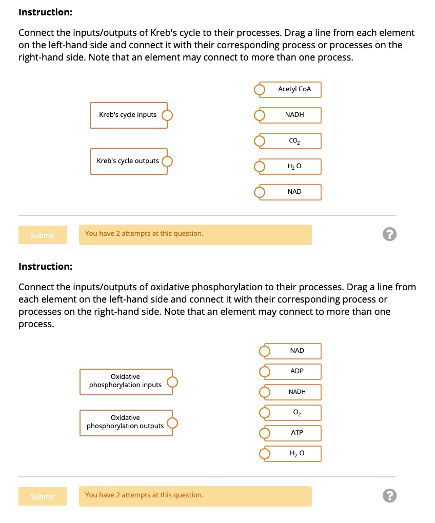 instruction connect the inputsloutputs of krebs cycle to their processes drag a line from each ...