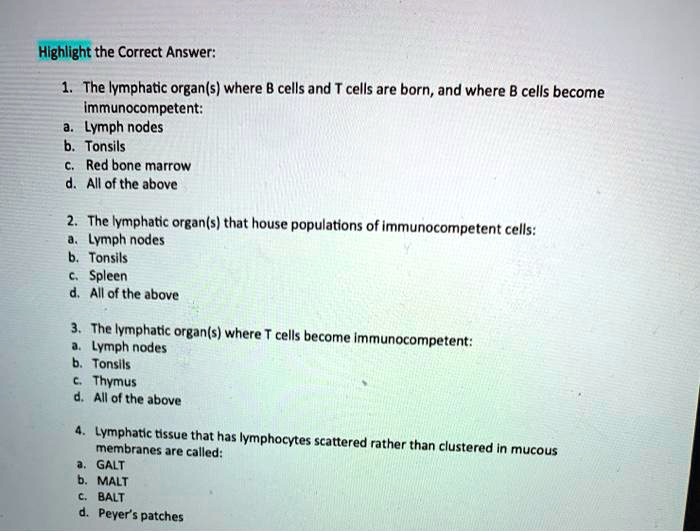 SOLVED: Highlight the Correct Answer: The lymphatic organ(s) where B ...