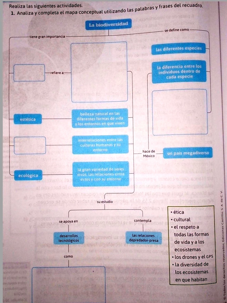 necesito las respuestas de este mapa conceptual sobre la diversidad es para hoy porfavor realiza ...