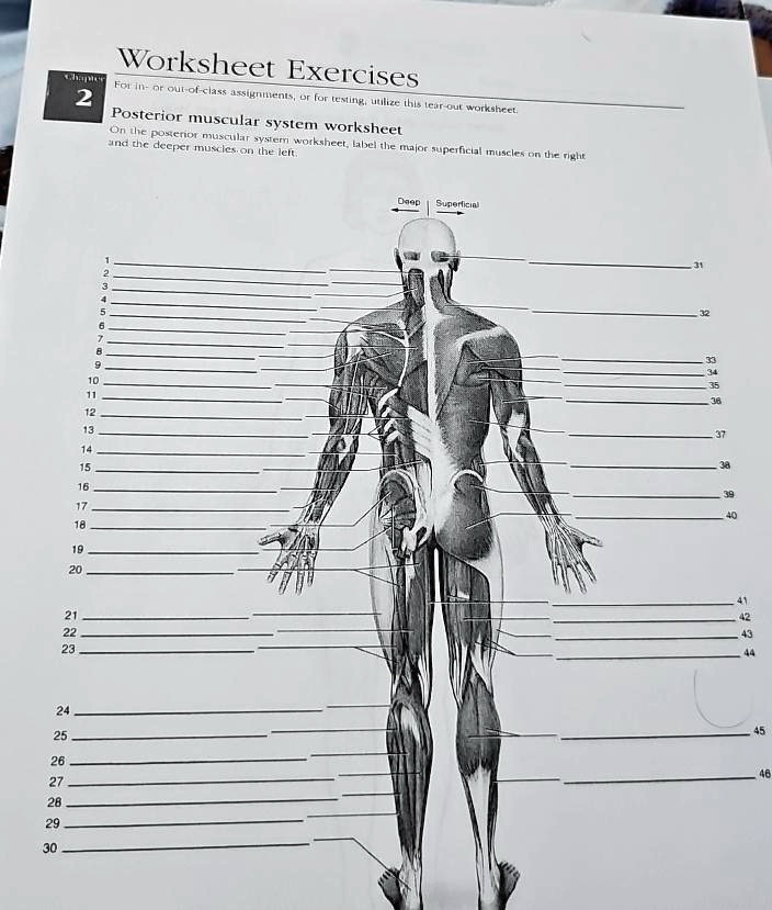 Worksheet Exercises Chapter For in- or out-of-class assignments, or for ...
