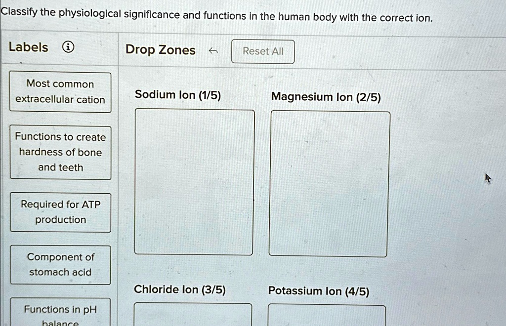 Classify the physiological significance and functions in the human body ...