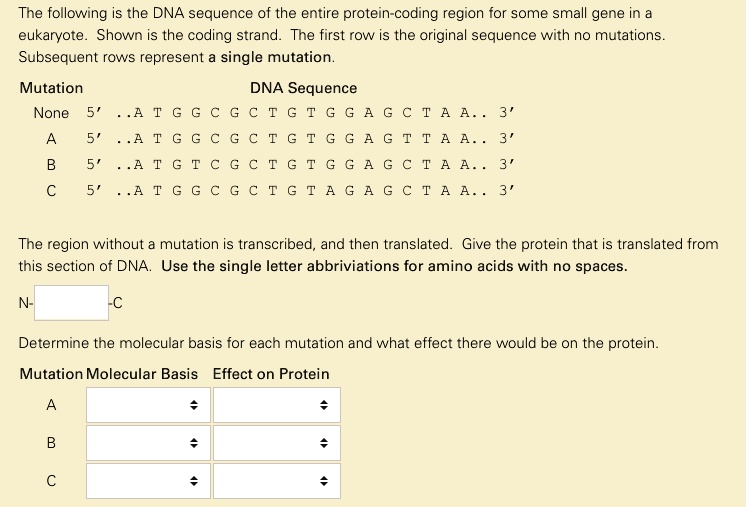 SOLVED: The following is the DNA sequence of the entire protein-coding region for some small ...