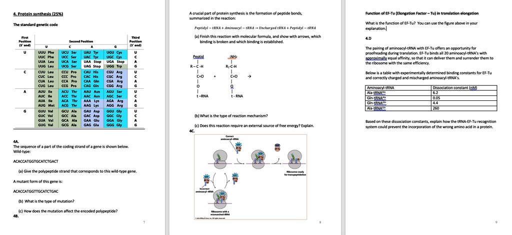 SOLVED: Texts: Protein synthesis (25%) Function of EF-Tu (Elongation ...
